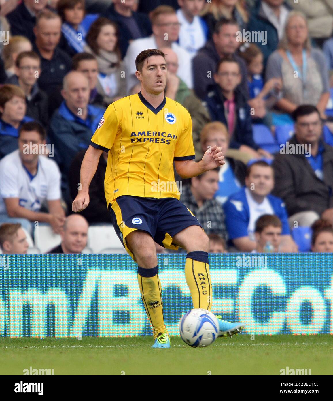 Stock football brighton and hove albion football hi-res stock ...