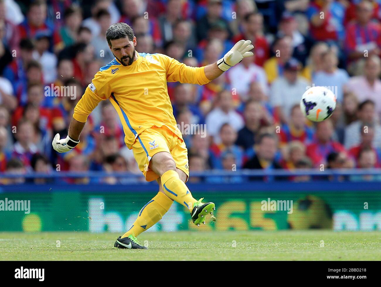 Julian Speroni, Crystal Palace goalkeeper Stock Photo - Alamy
