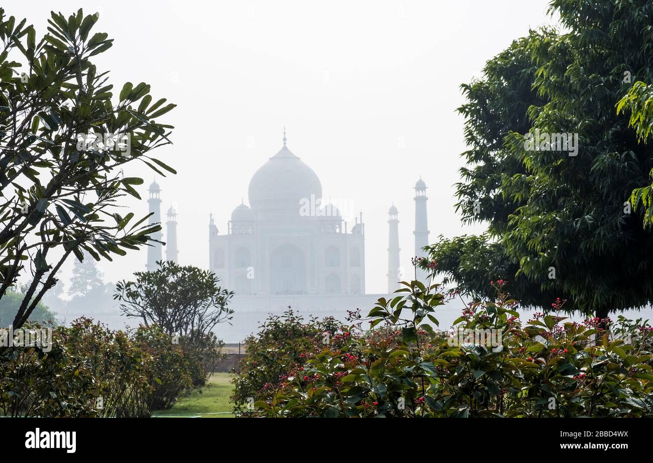 Taj Mahal from the Mehtab Bagh Stock Photo - Alamy