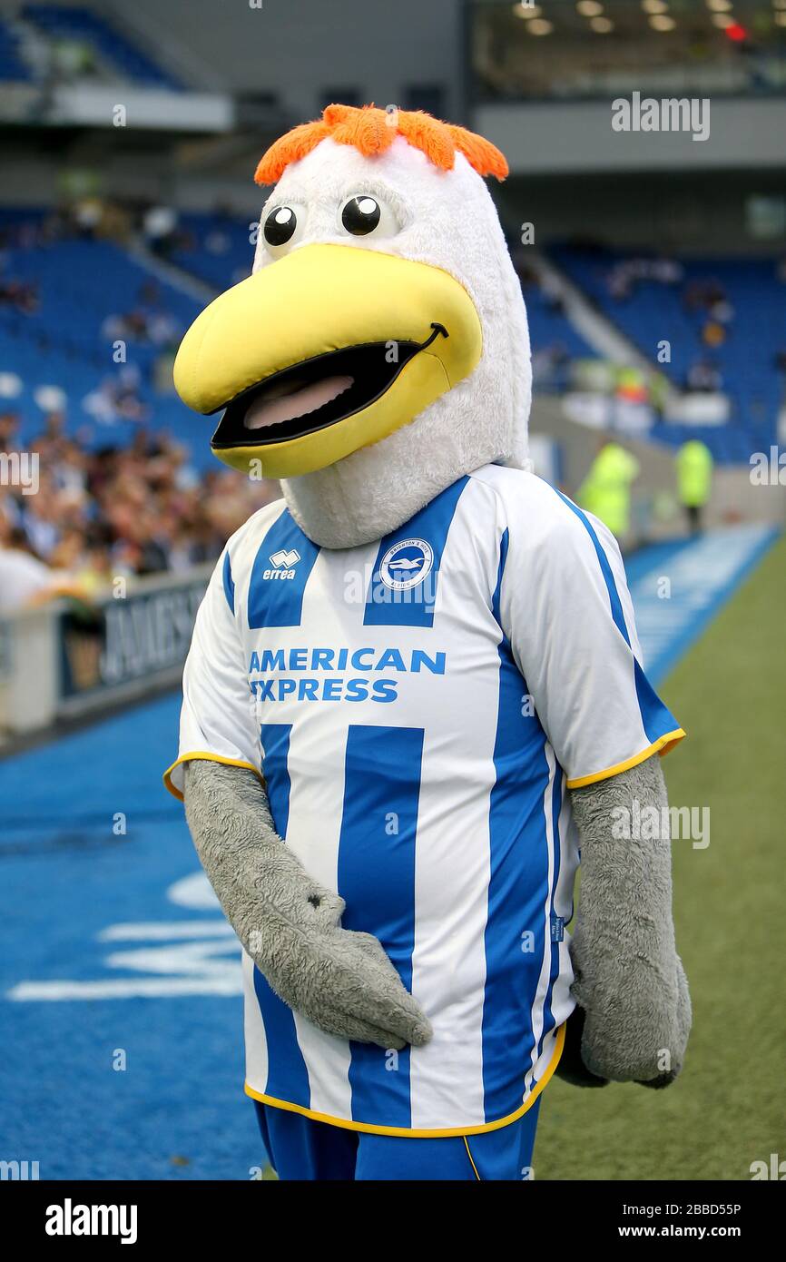 Gully, Brighton and Hove Albion mascot Stock Photo - Alamy