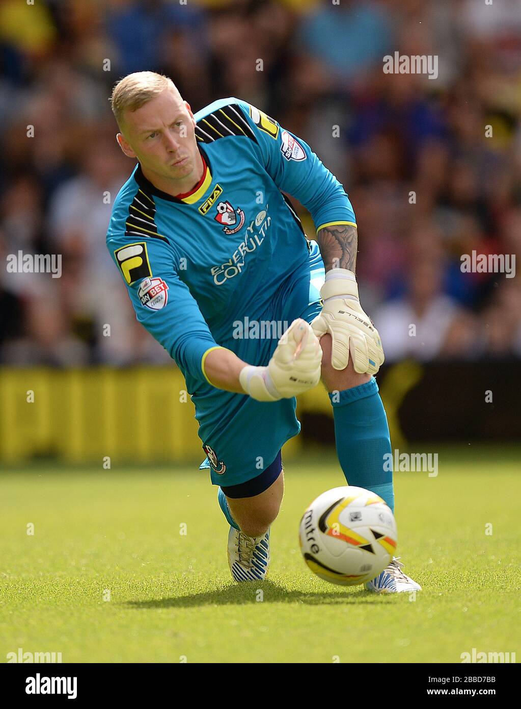 AFC Bournemouth goalkeeper Ryan Allsop Stock Photo - Alamy