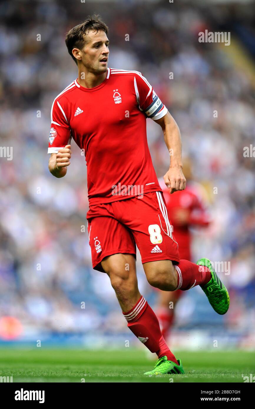 Chris Cohen, Nottingham Forest Stock Photo - Alamy