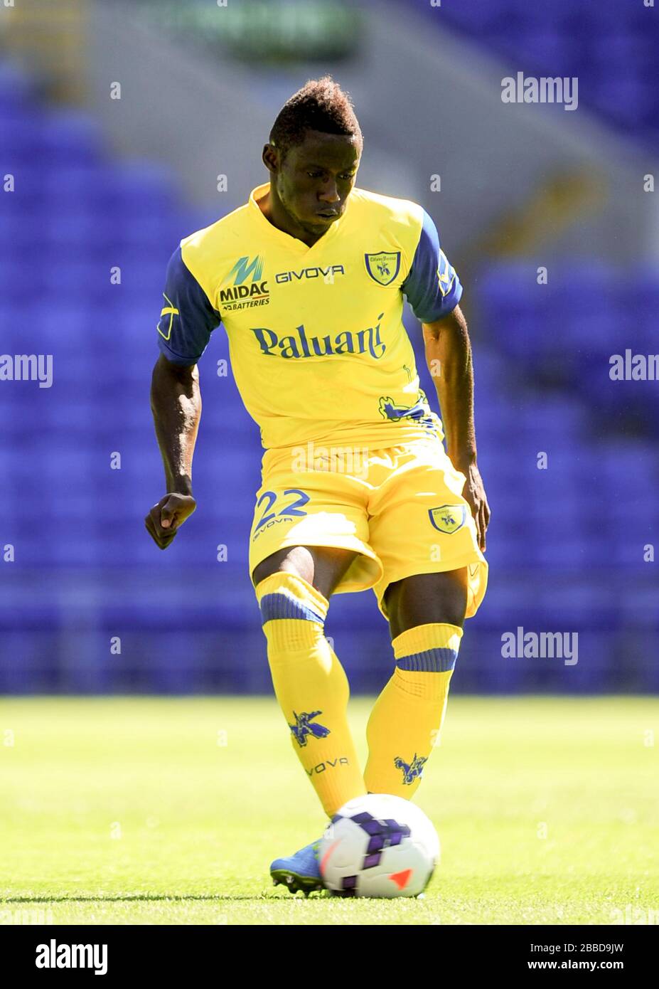 Boadu hi-res stock photography and images - Alamy