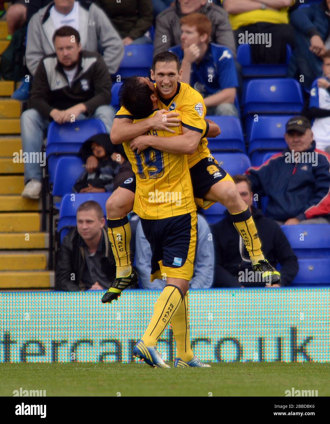 Brighton & Hove Albion's Andy Crofts celebrates scoring his side's ...
