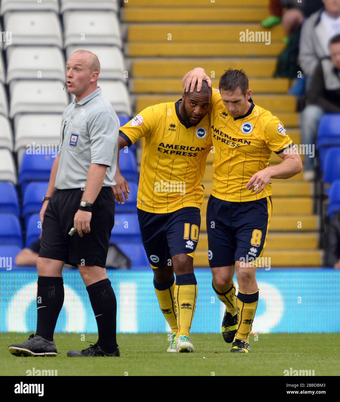 Brighton & Hove Albion's Andy Crofts celebrates scoring his side's ...
