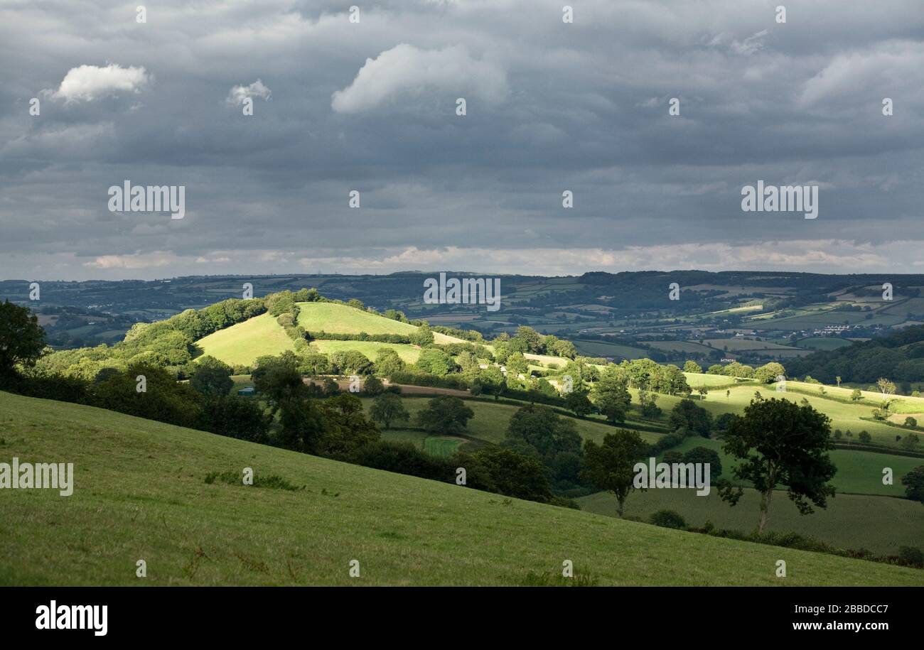 Rural countryside near Membury, Devon, England Stock Photo - Alamy