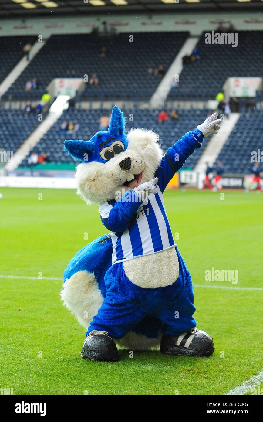 Nutz Mascot, Kilmarnock Stock Photo - Alamy