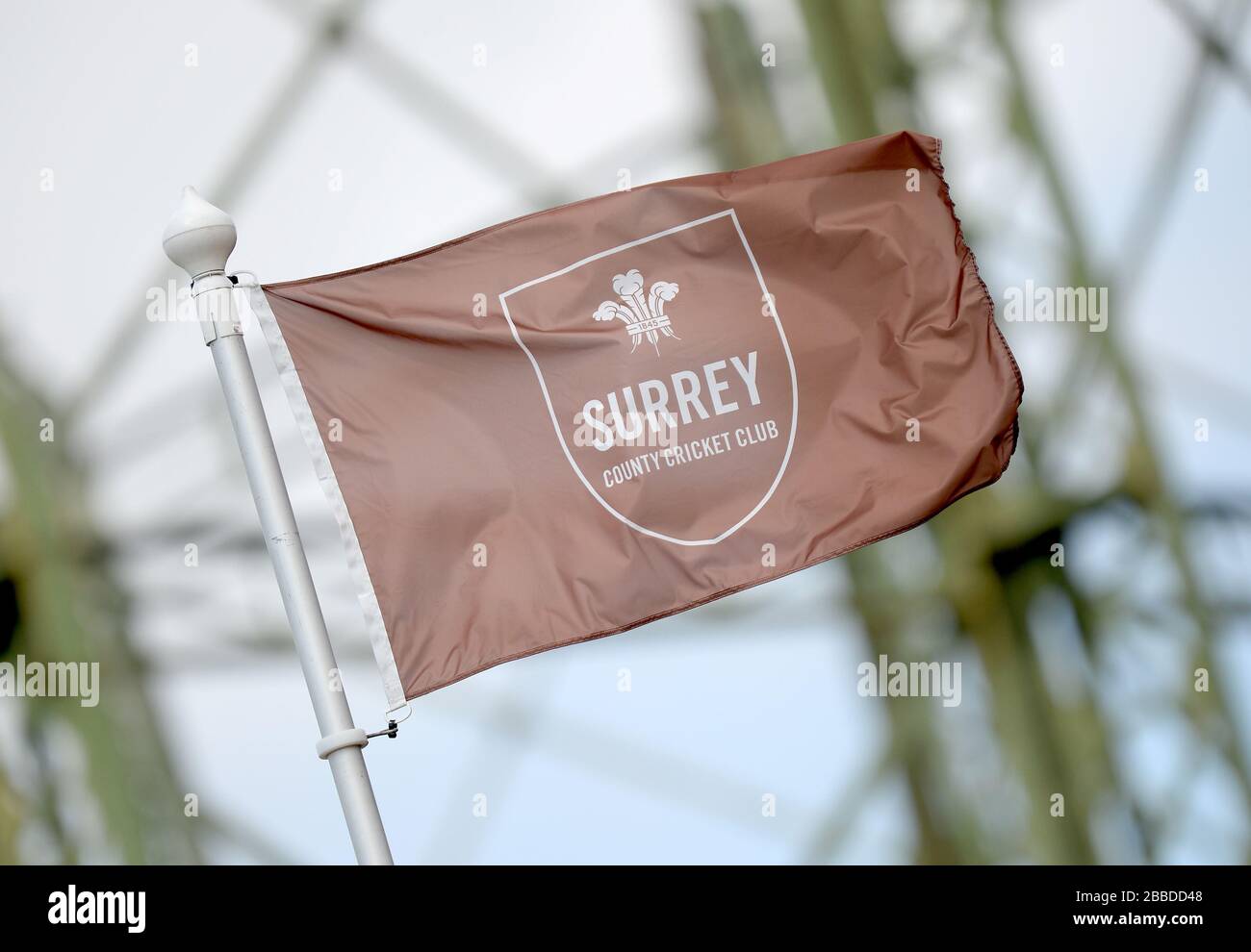 A Surrey flag is seen at the Kia Oval Stock Photo - Alamy