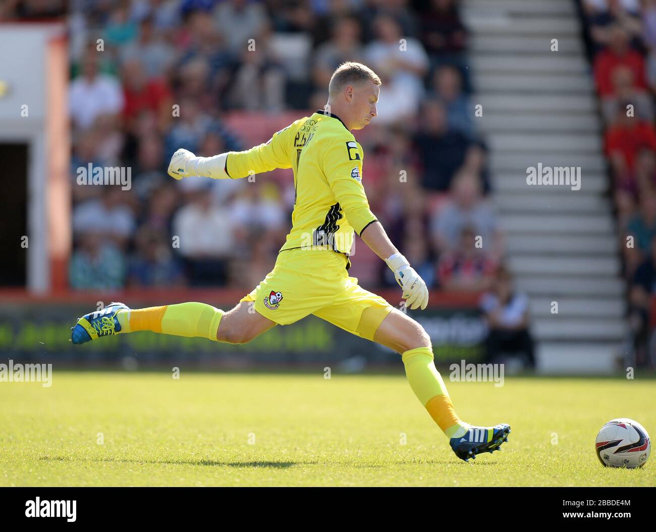 Ryan allsop hi-res stock photography and images - Alamy