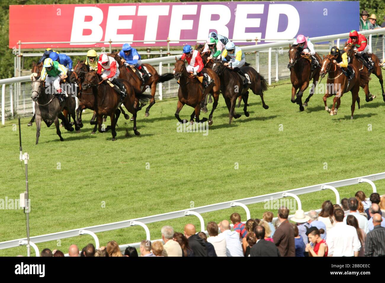 Horses betfred bet fred brand branding advert advertising hi-res stock ...