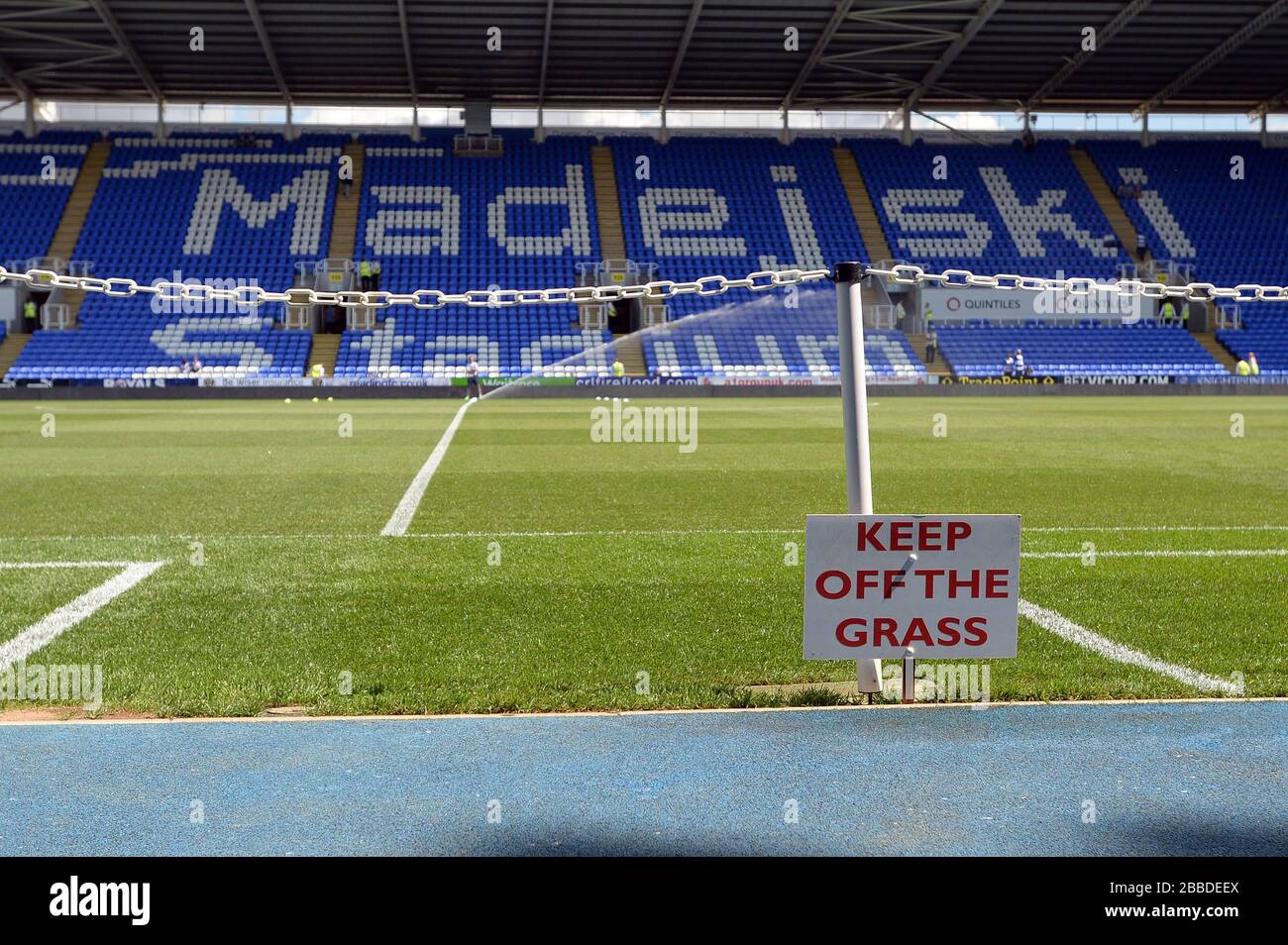 Madejski grass hi-res stock photography and images - Alamy