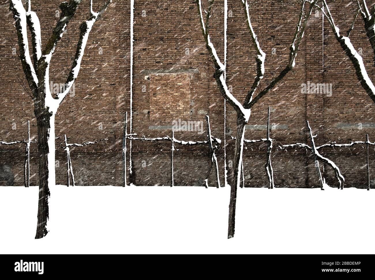 The snow falling on the trees Stock Photo - Alamy