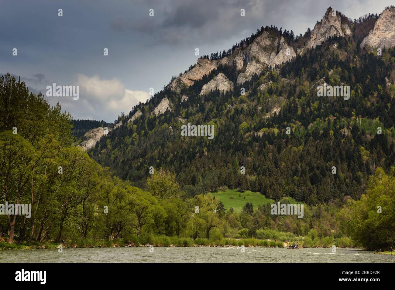 River near the mountain cliff with forest. Wild nature. Lockal travel ...
