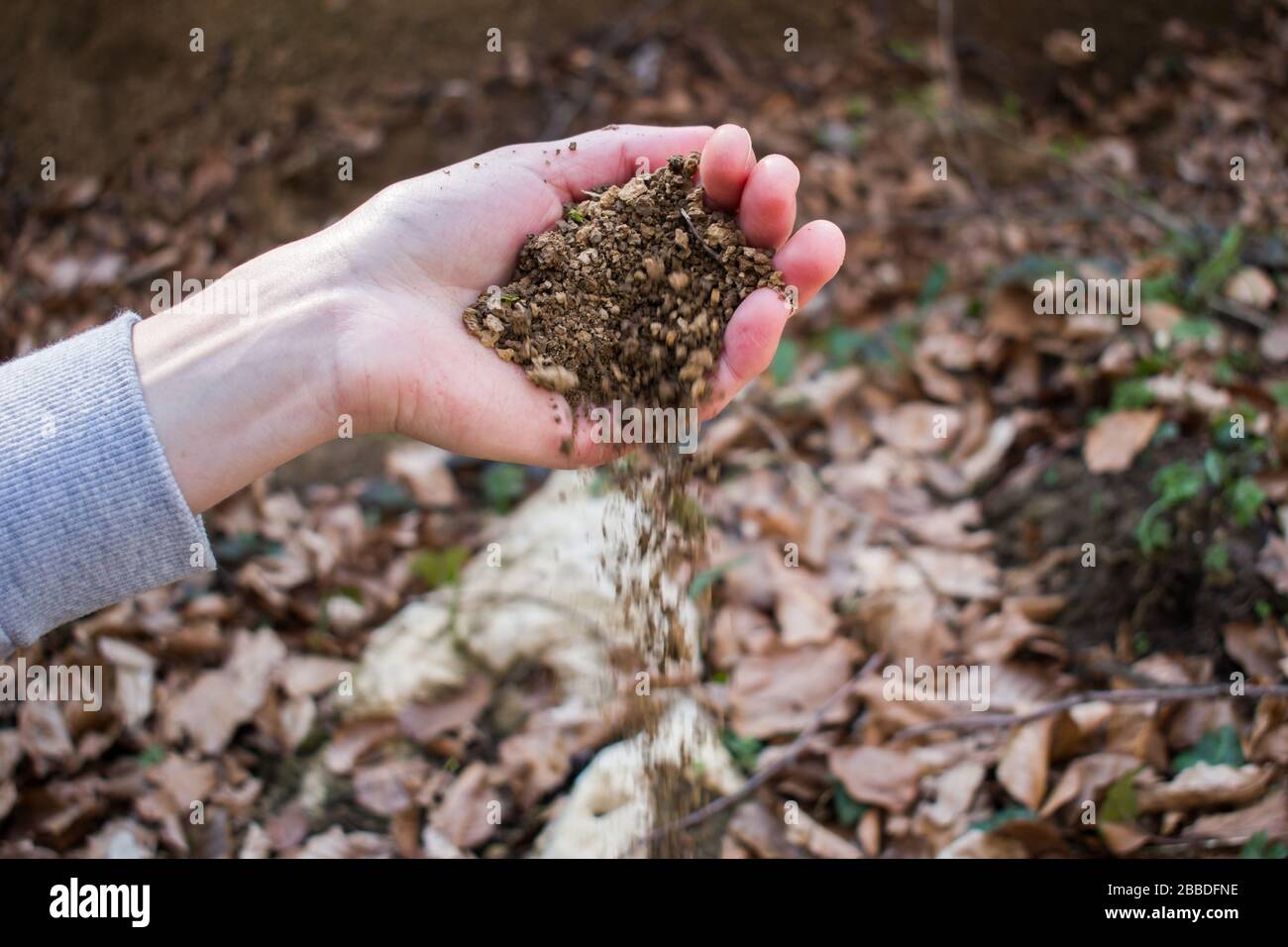 Sifting dirt High Resolution Stock Photography and Images - Alamy