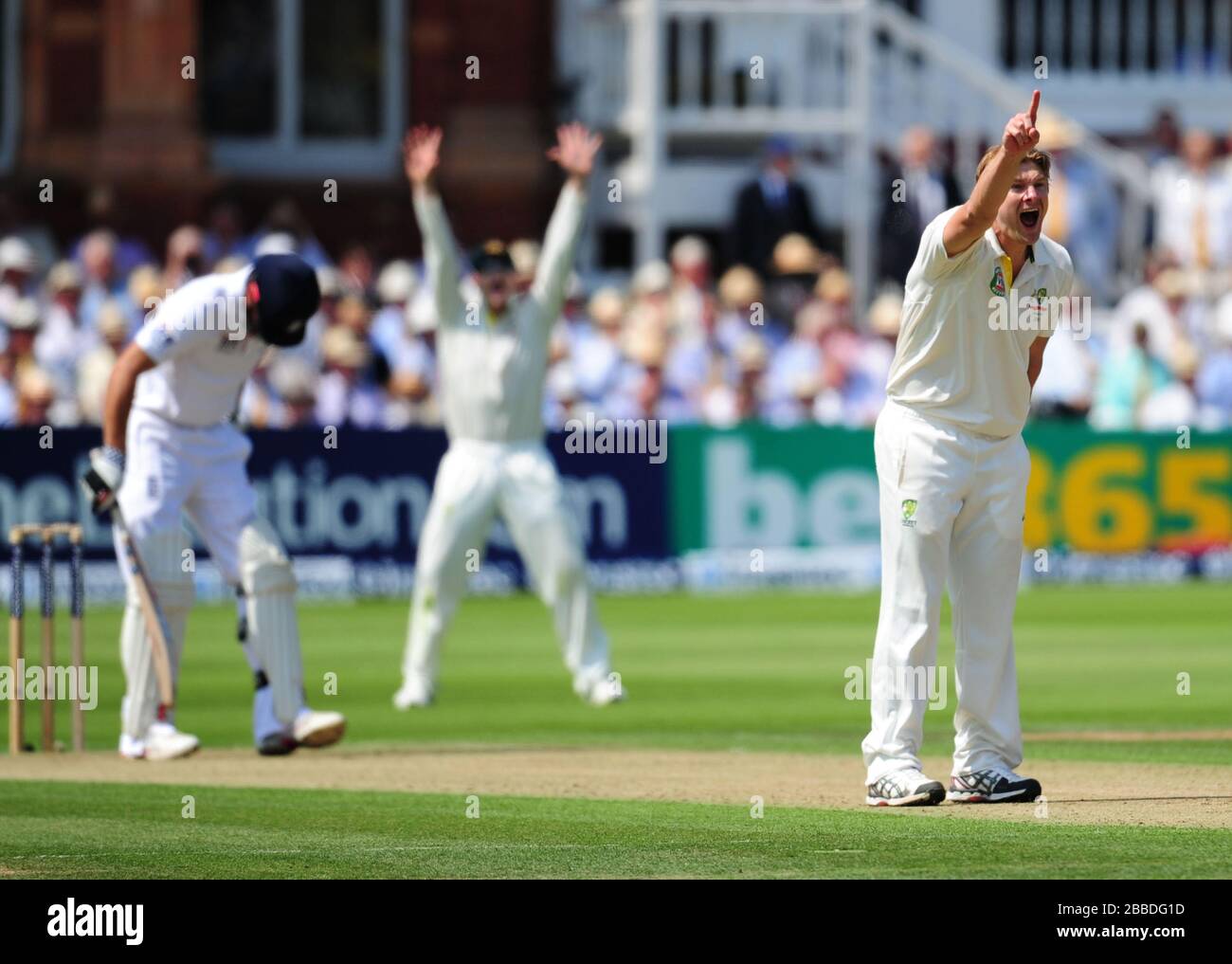 England's Alistair Cook is LBW to Australia's Ryan Harris on day One of ...