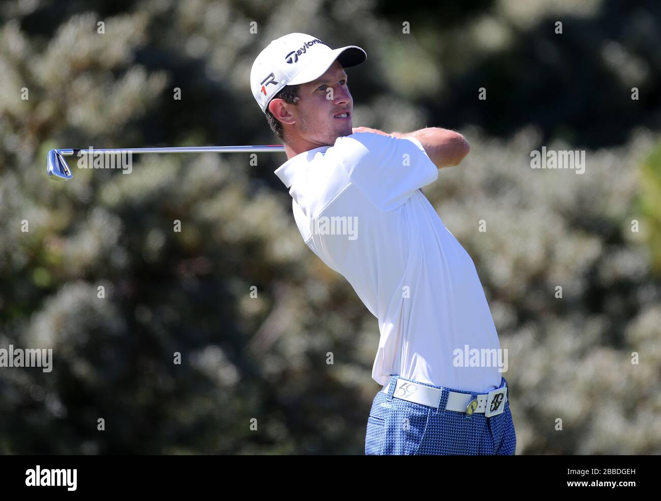 Steven fox hi-res stock photography and images - Alamy