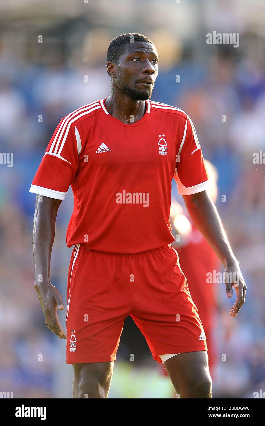 Guy moussi forest hi-res stock photography and images - Alamy