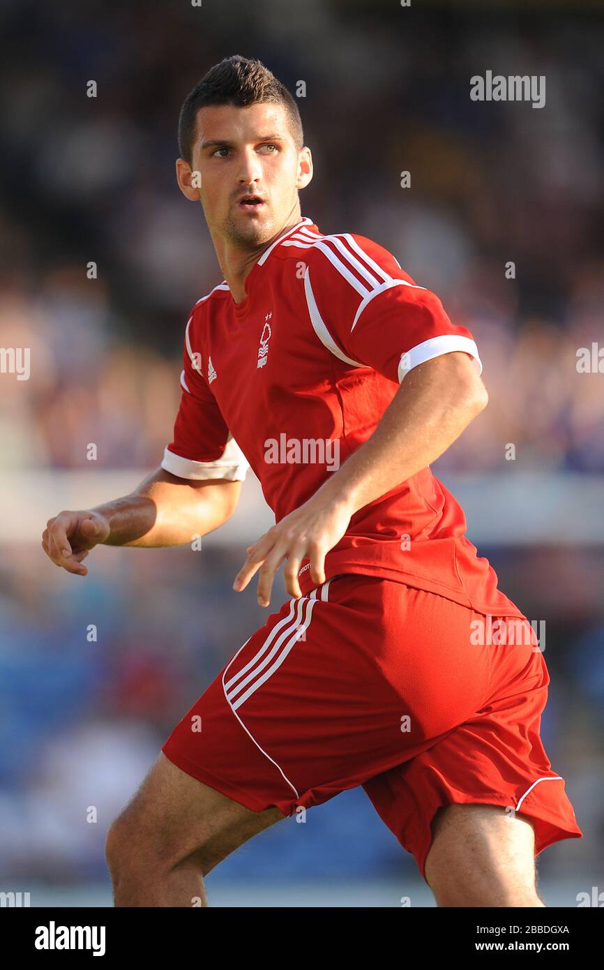 Eric lichaj forest hi-res stock photography and images - Alamy
