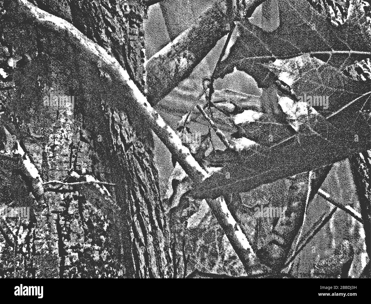 Distress tree leaves, leaflet texture. Black and white grunge ...