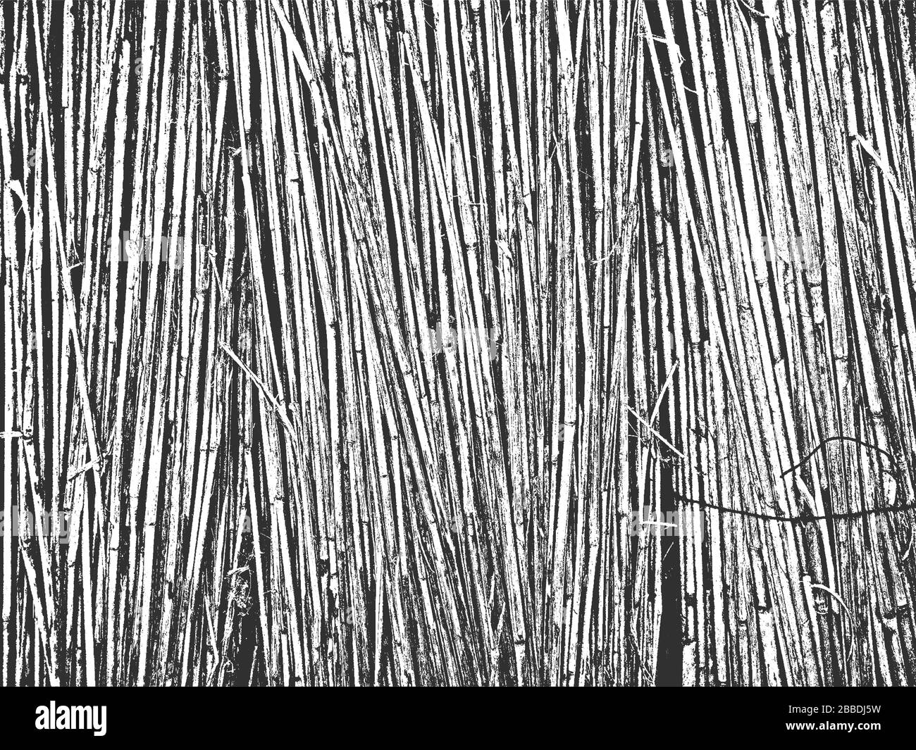 Background structure dry grass Stock Vector Images - Alamy