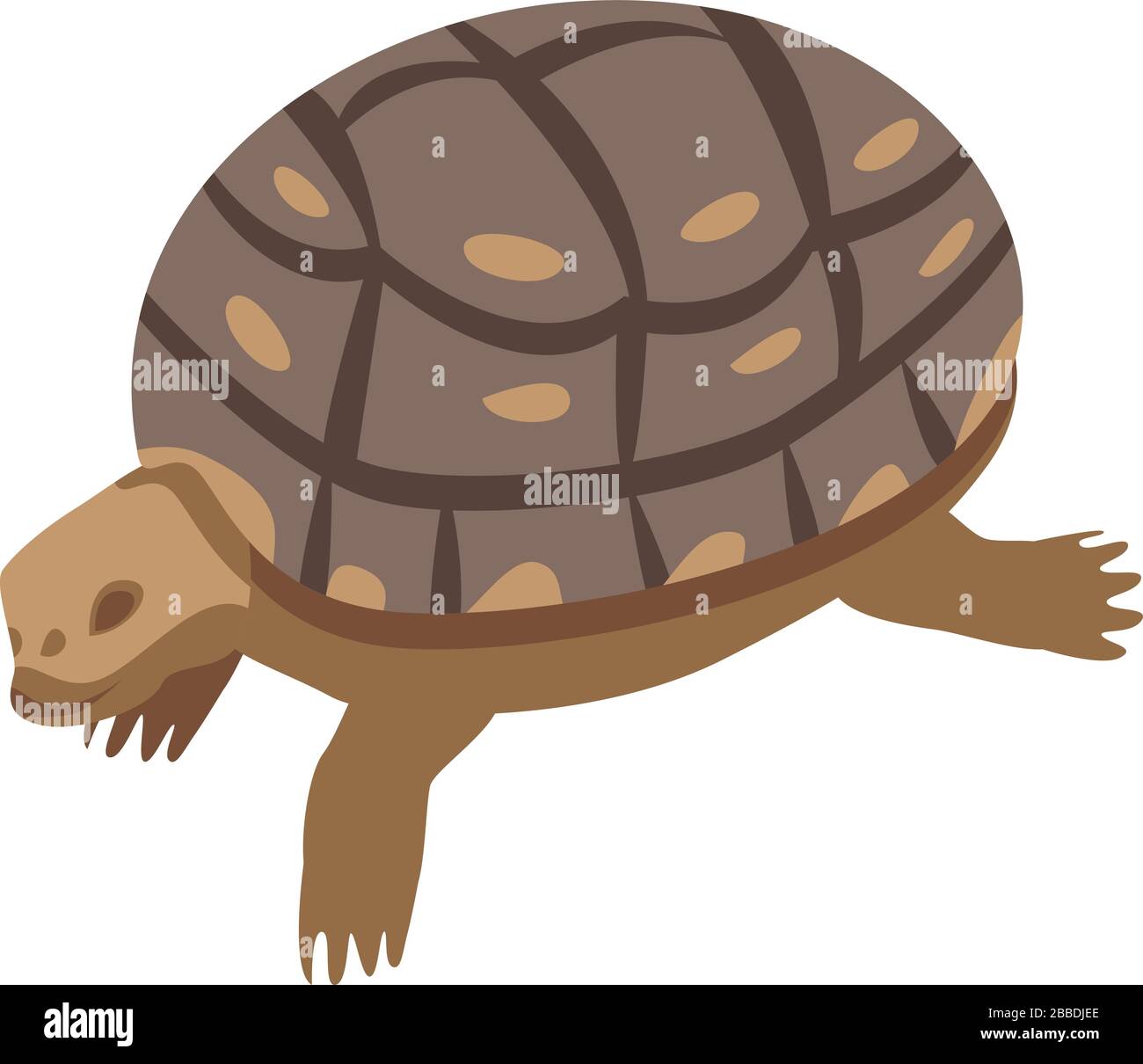 Zoo old turtle icon, isometric style Stock Vector Image & Art - Alamy