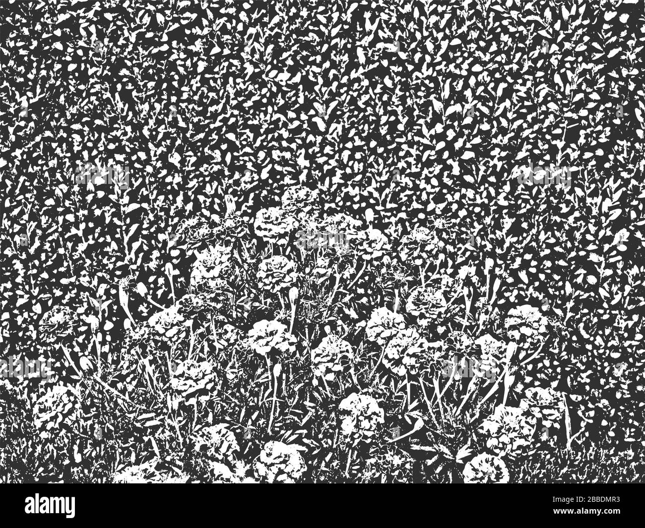 Distress tree leaves and flowers, leaflet texture. Black and white ...