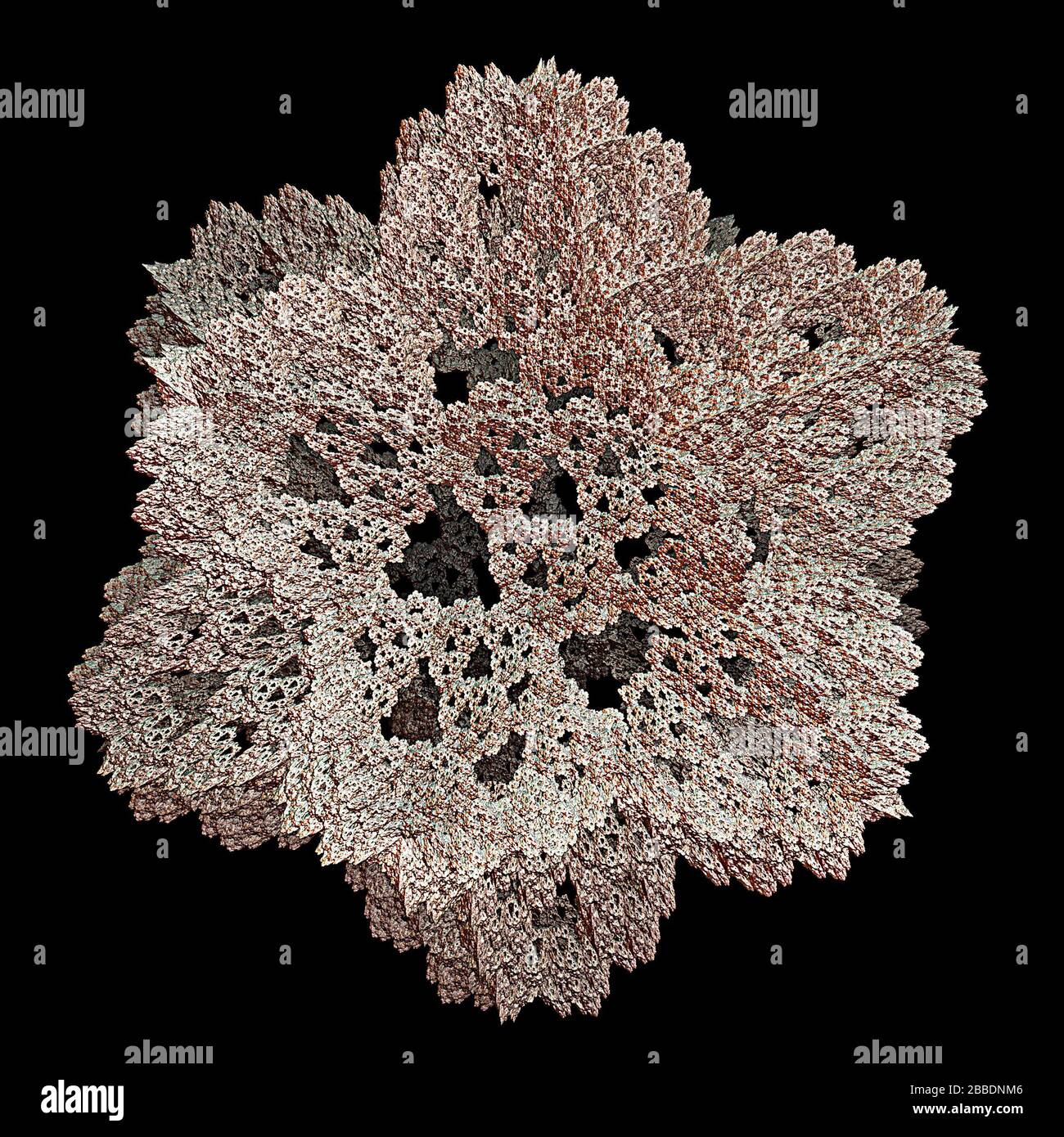 3D illustration of fractals calculated in the computer Stock Photo - Alamy
