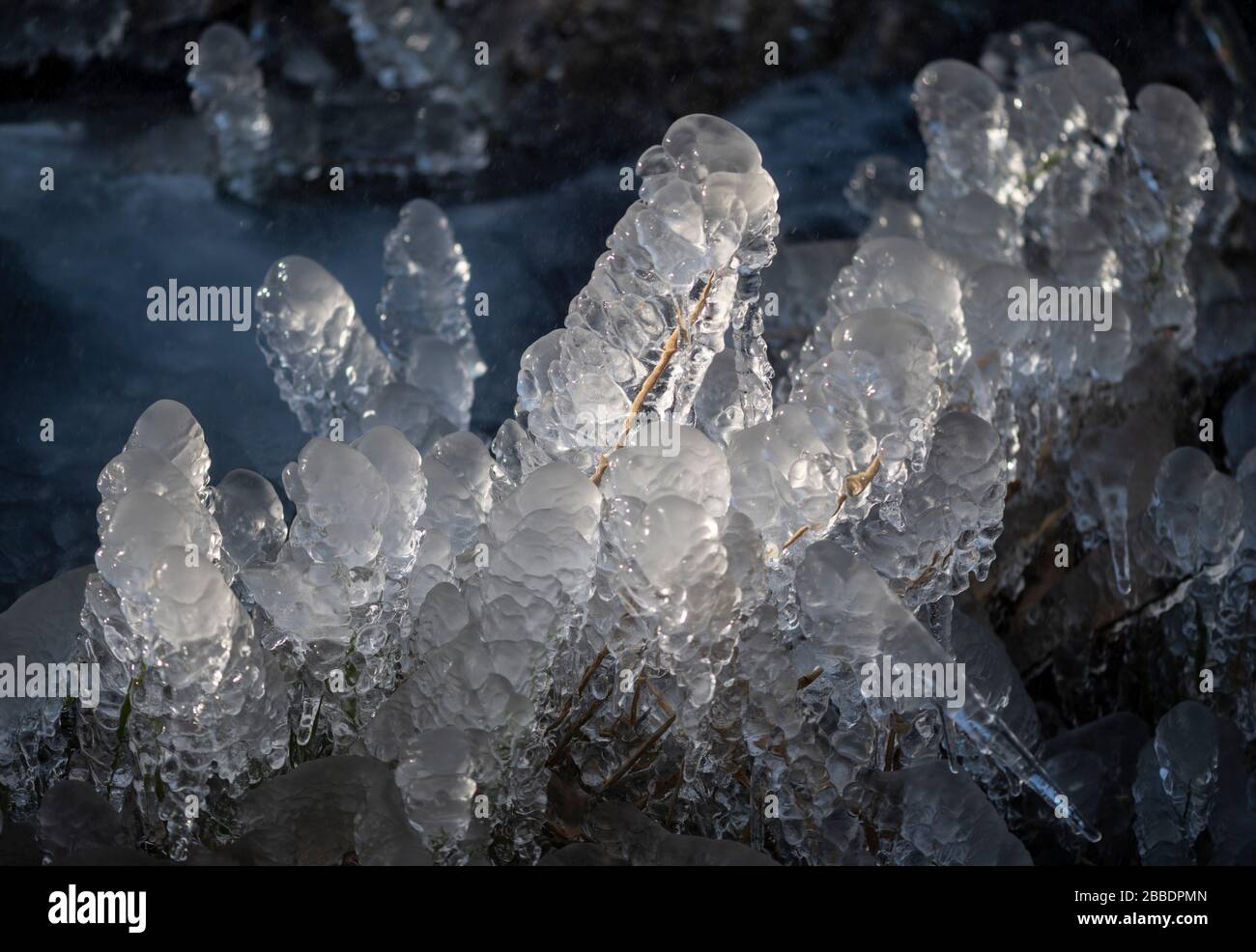 Buchenbach, Germany. 31st Mar, 2020. Different forms of ice have formed ...