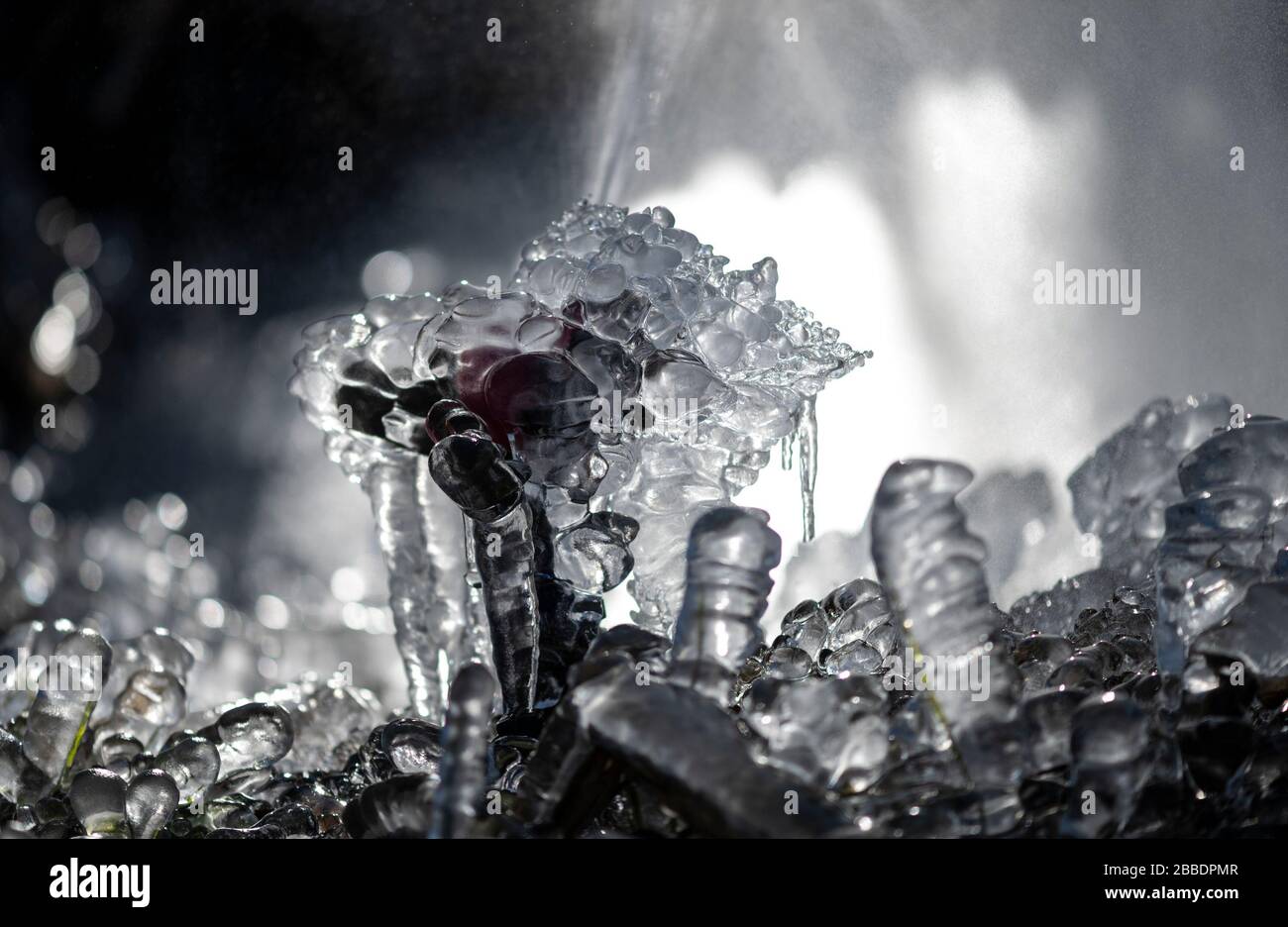 Buchenbach, Germany. 31st Mar, 2020. Different forms of ice have formed ...