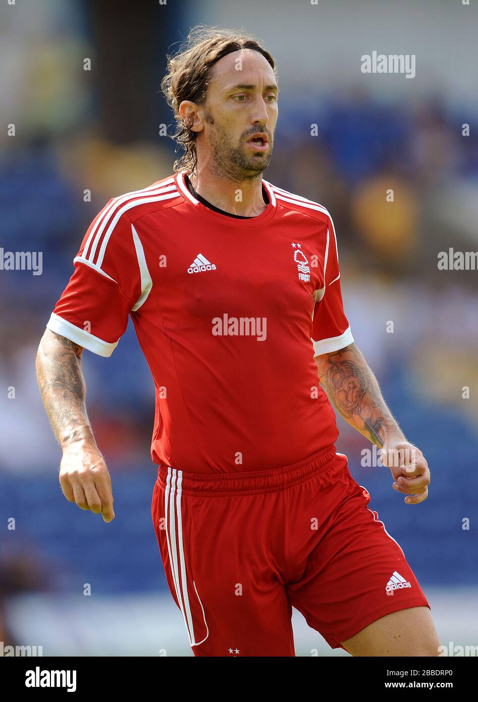 Jonathan Greening Forest High Resolution Stock Photography and Images ...