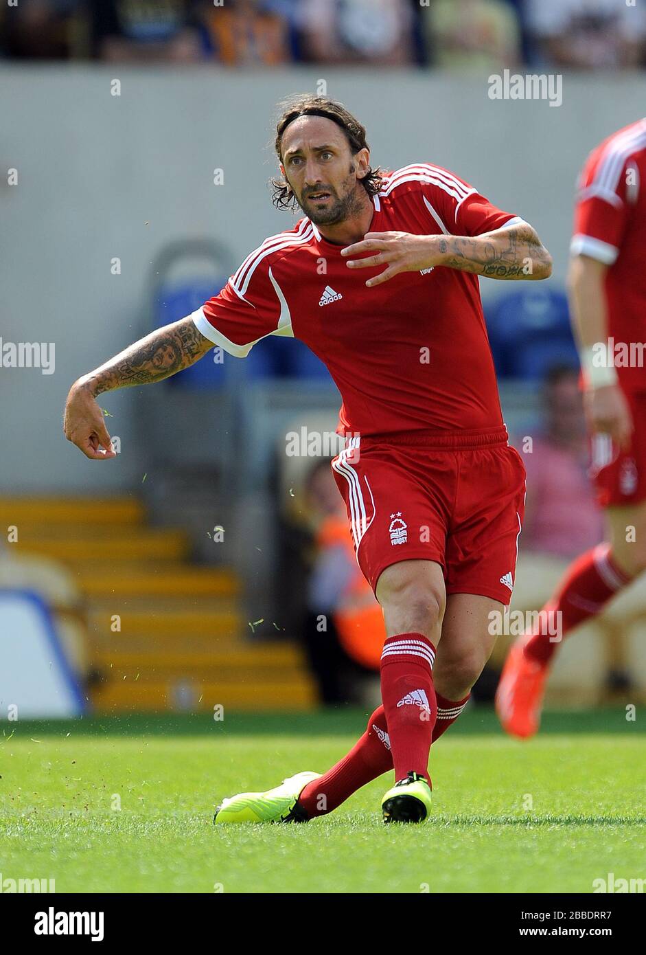 Jonathan Greening Forest High Resolution Stock Photography and Images ...