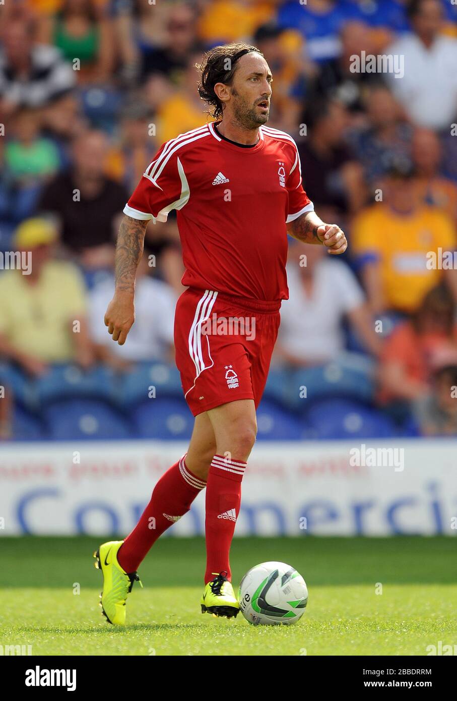 Jonathan greening forest hi-res stock photography and images - Alamy