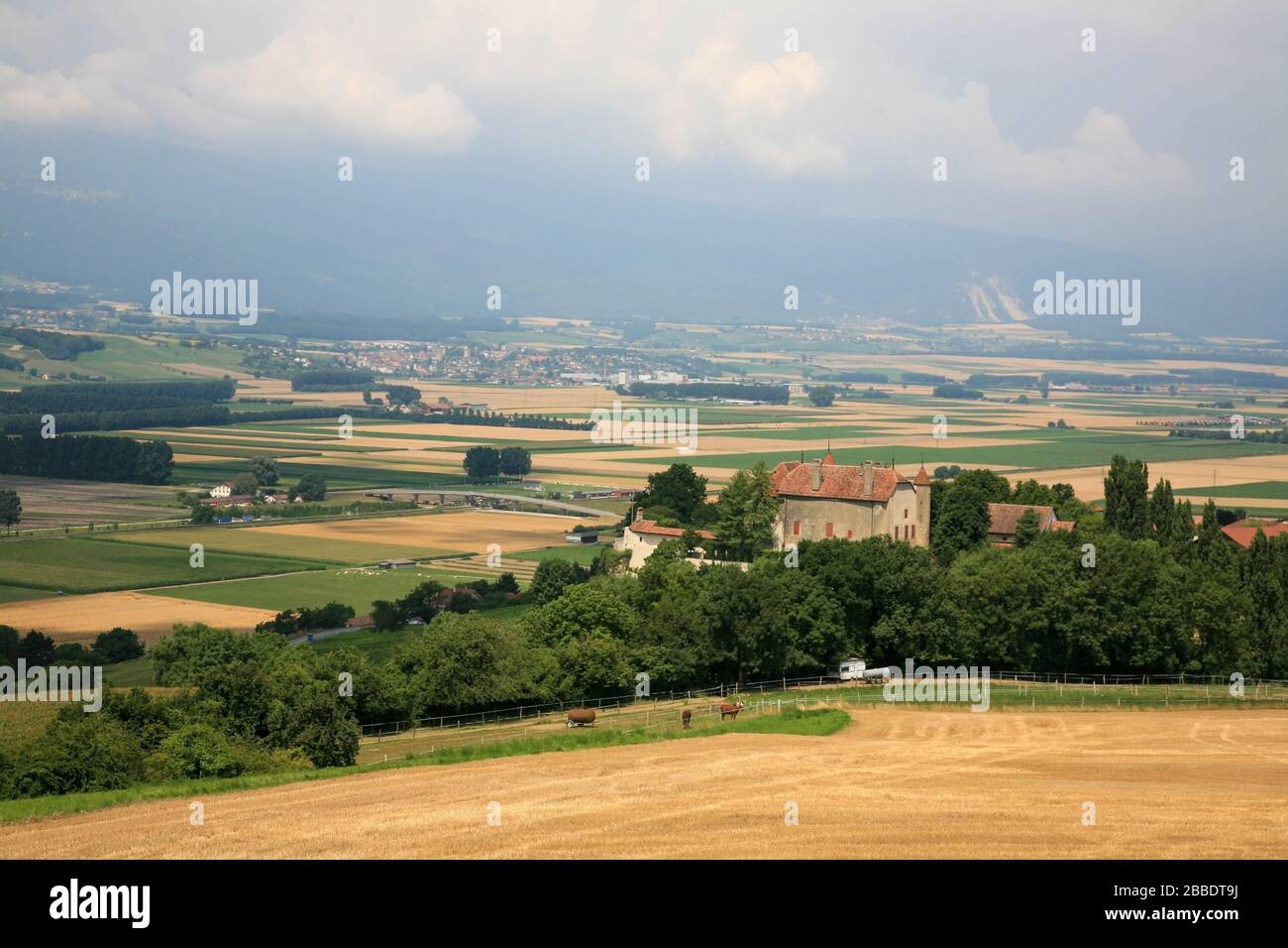 Summer landscape with beautiful fields and mountain range in ...