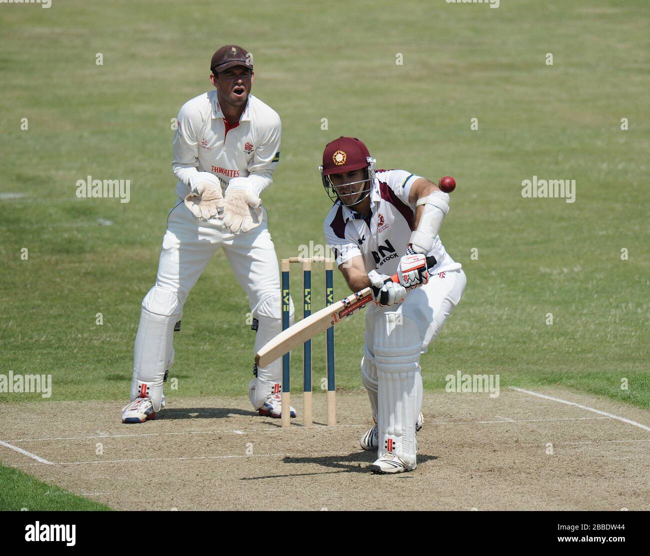 Coetzer hi-res stock photography and images - Alamy