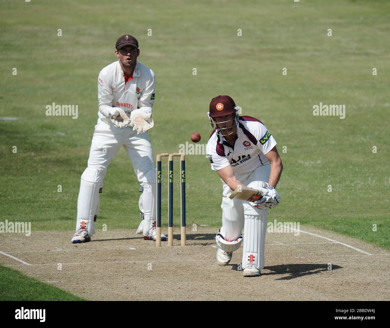 Cameron White High Resolution Stock Photography and Images - Alamy