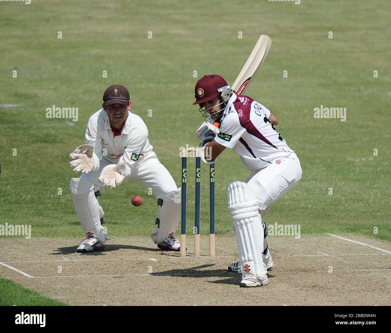 Coetzer hi-res stock photography and images - Alamy