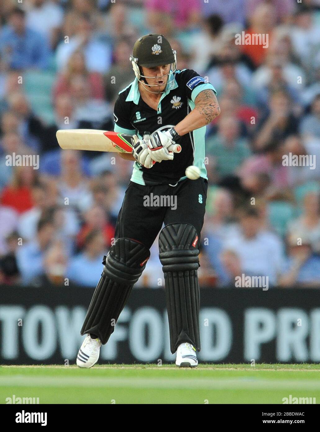 Cricket full length ampics hi-res stock photography and images - Alamy
