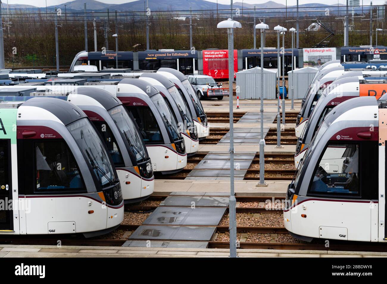 Trams edinburgh hi-res stock photography and images - Alamy