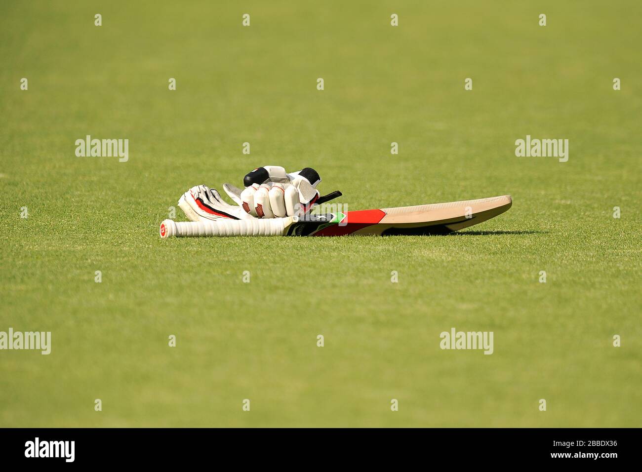 A cricket bat and gloves during warm up Stock Photo - Alamy