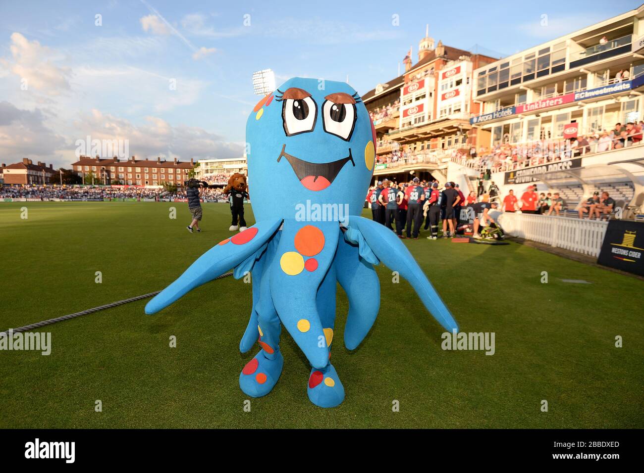 Octopus investments brand branding advert advertising ampics hi-res ...