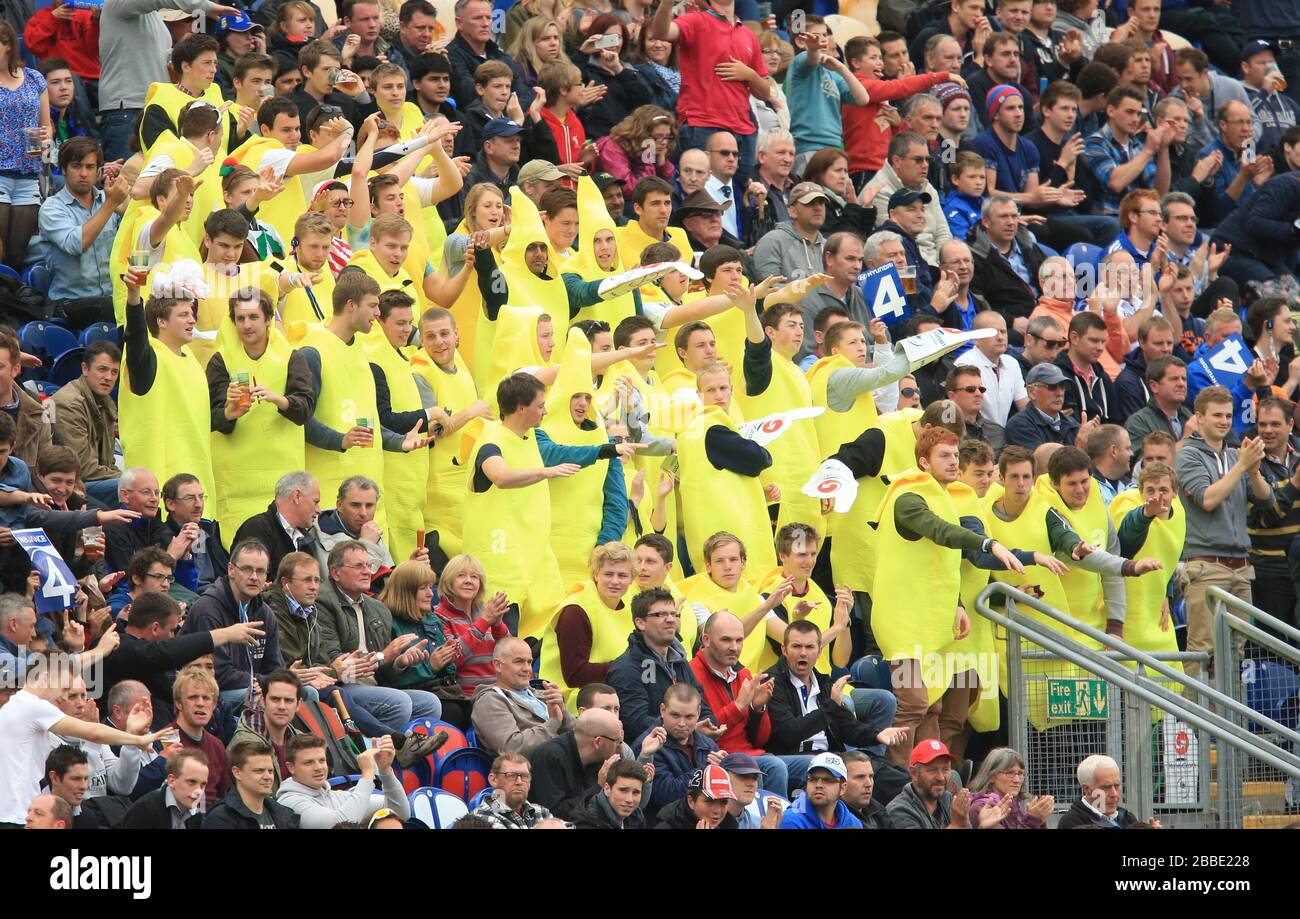 Spectators dressed as bananas cheer a boundary hi-res stock photography ...