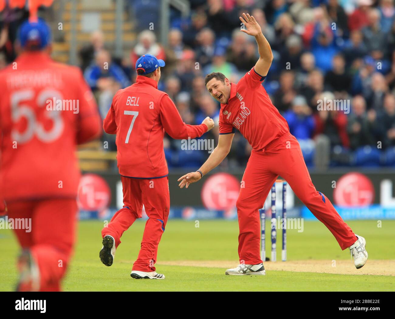 England's Tim Bresnan celebrates taking the wicket of New Zealand's ...