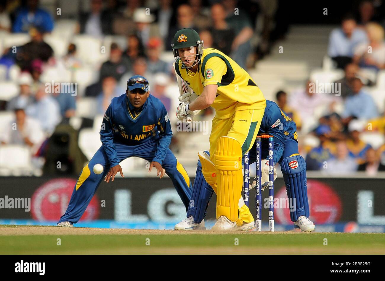 Australia's Adam Voges bats Stock Photo - Alamy