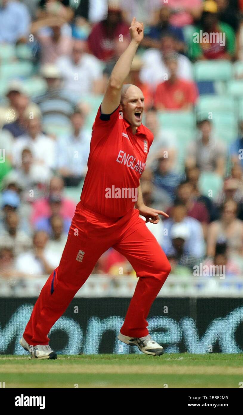 England's James Tredwell celebrates taking the wicket of South Africa's ...