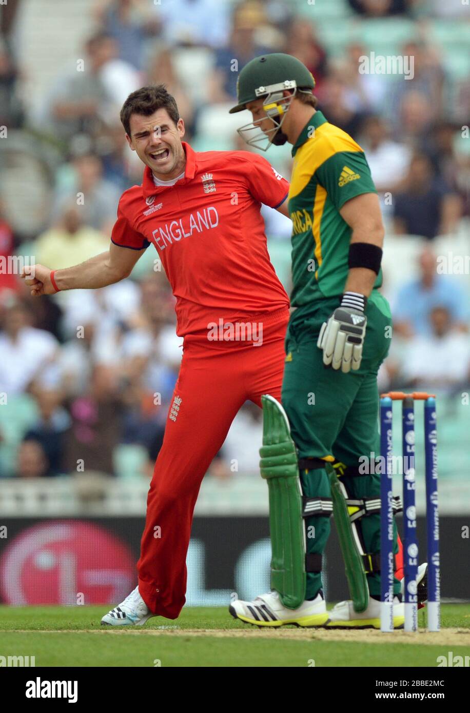 Colin anderson hi-res stock photography and images - Alamy