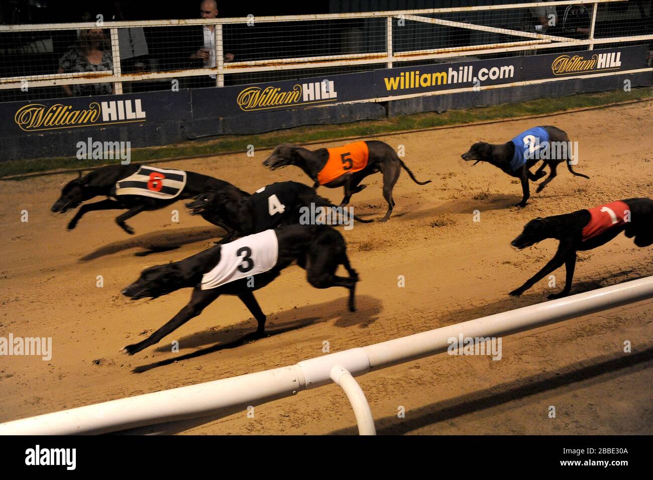 General view of the dogs in action after the William Hill Derby Quarter ...