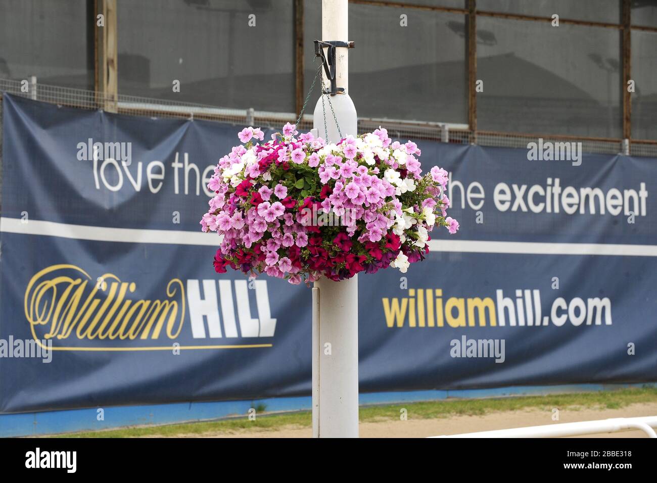 A general view of the inside of Wimbledon Stadium before the evenings ...