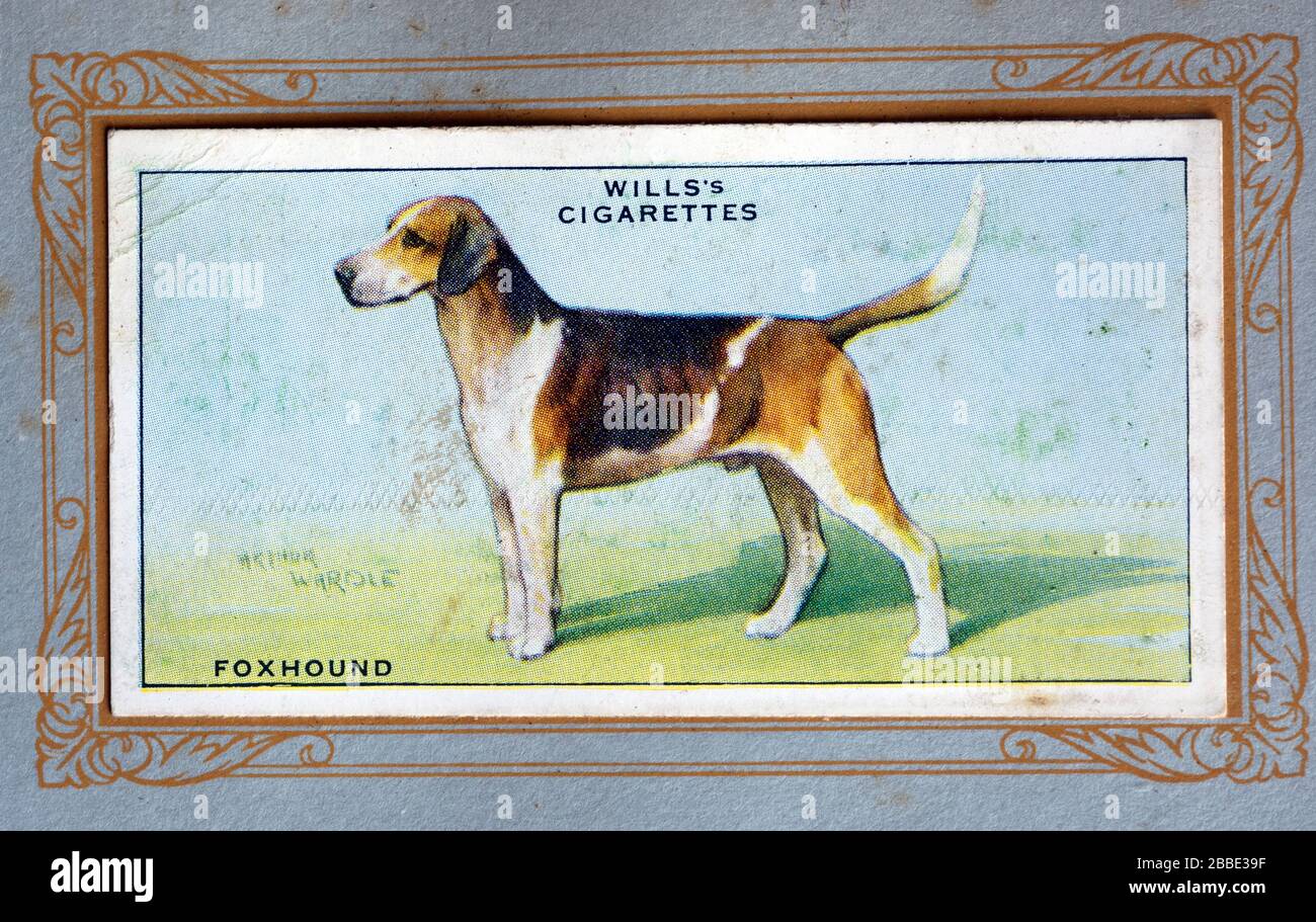 Wills cigarette cards hi-res stock photography and images - Alamy
