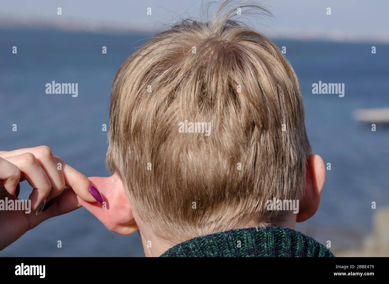 The girl s fingers are pulling the boyfriend s ear. Hand of a young ...