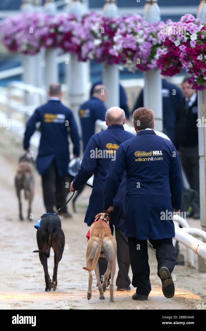 Ballymac eske droopys jet hi-res stock photography and images - Alamy